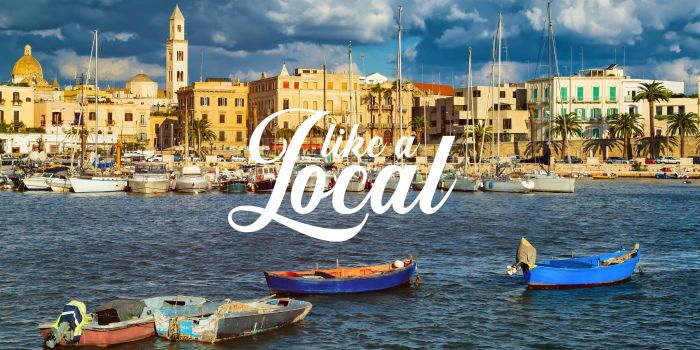 Visit Apulia, land of olive trees, white stones and wilderness