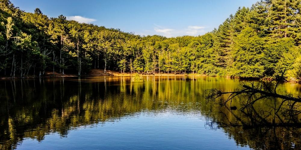 Discover the 5 most evocative and lush woods in Italy | Visititaly.eu