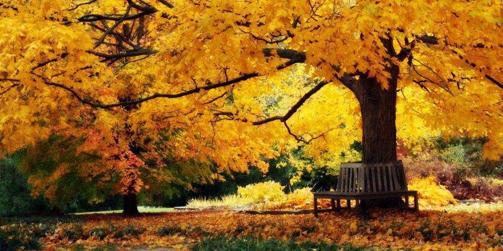 Foliage in Italy: the ultimate guide to the most charming autumn ...