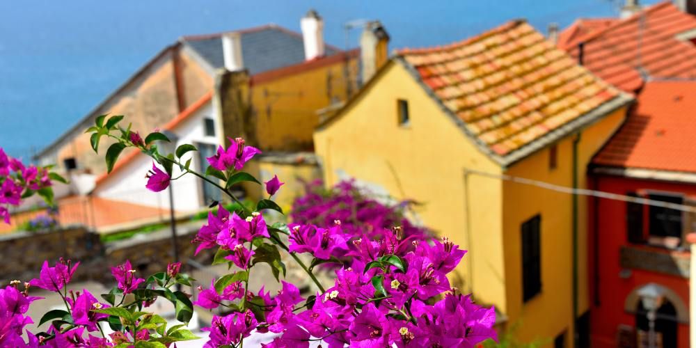 Cervo, Italy: Discover the Enchanting Medieval Gem | Visit Italy ...