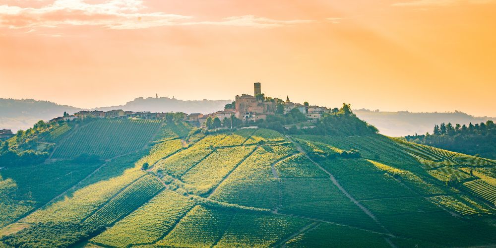 Wine Tour in Italia: 8 esperienze alla scoperta dei migliori vini ...
